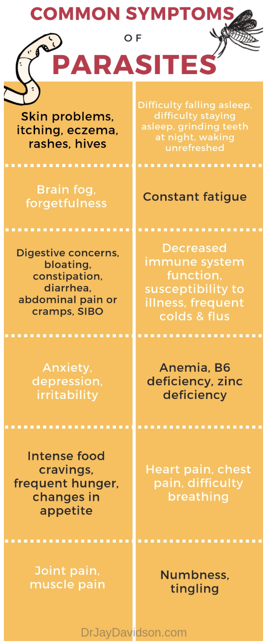 ¿Sabes qué se siente tener parásitos? - Innoqua